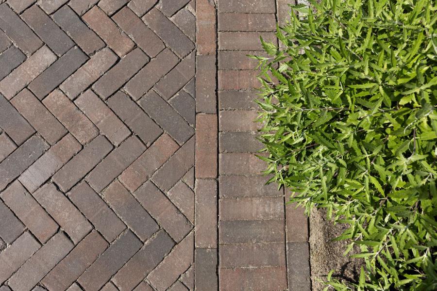 Verplichte groene erfafscheiding in de nieuwbouwwijk? Dit zijn je ...